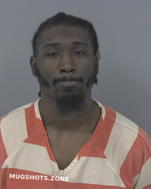 MICHAEL SHAWN JOHNSON 03/17/2024 - Johnston County Mugshots Zone