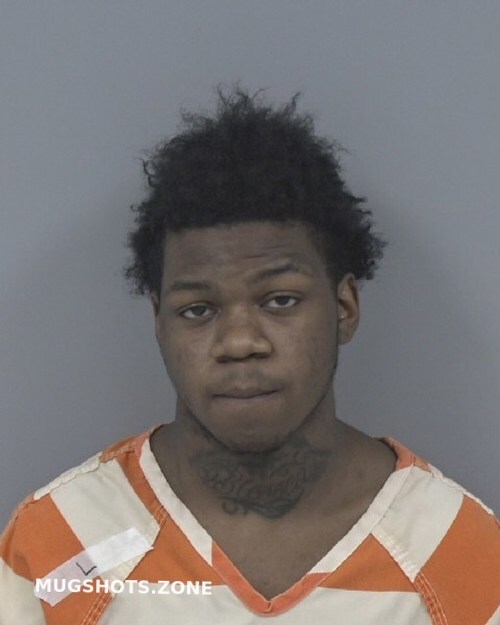 JAYDEN TYRIQ CHATMAN 03/19/2024 - Johnston County Mugshots Zone