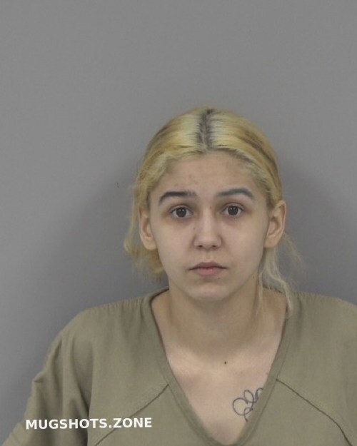 SHYLAN MICHELLE DRIGGERS 03/20/2024 - Johnston County Mugshots Zone