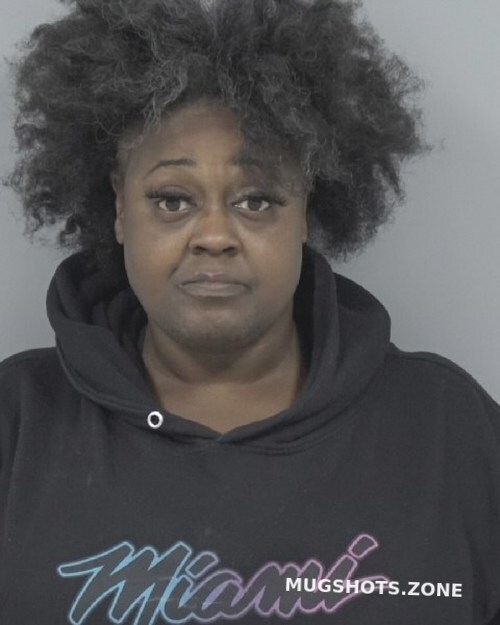TERRI RENEE CHAPPELL 03/31/2024 - Johnston County Mugshots Zone