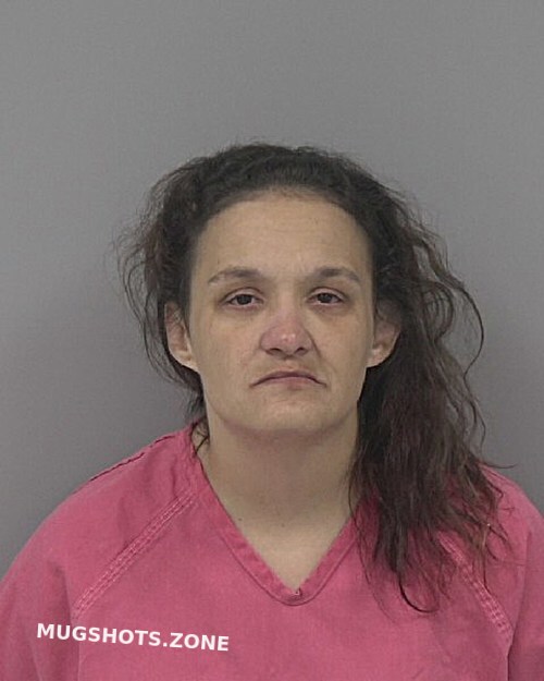 LOCKLEAR BRANDY 12/24/2024 - Johnston County Mugshots Zone