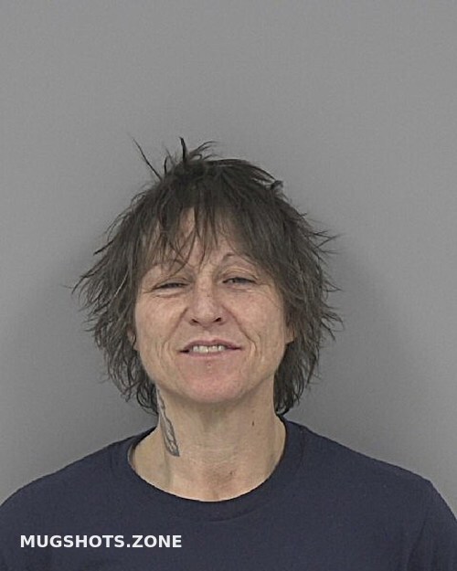 DURHAM LORI 02/15/2025 - Johnston County Mugshots Zone