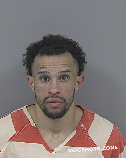 BLUE JOSEPH 02/21/2025 - Johnston County Mugshots Zone