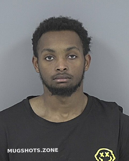 ROBERSON NICHOLAS 02/22/2025 - Johnston County Mugshots Zone