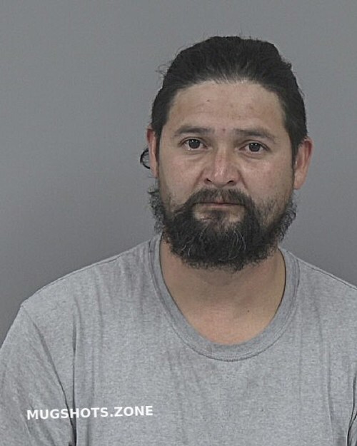 RODRIGUEZ SANDRO 03/05/2025 - Johnston County Mugshots Zone