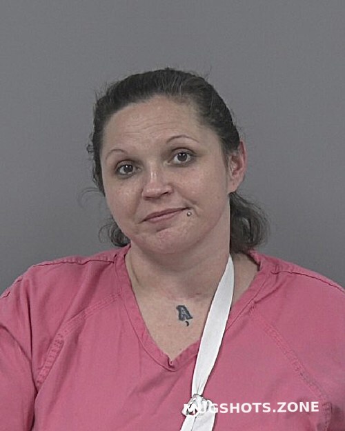 STANLEY DEBRA 03/13/2025 - Johnston County Mugshots Zone