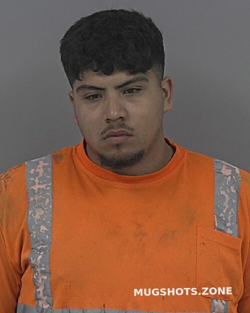 SAUCEDO ISRAEL 03/21/2025 - Johnston County Mugshots Zone