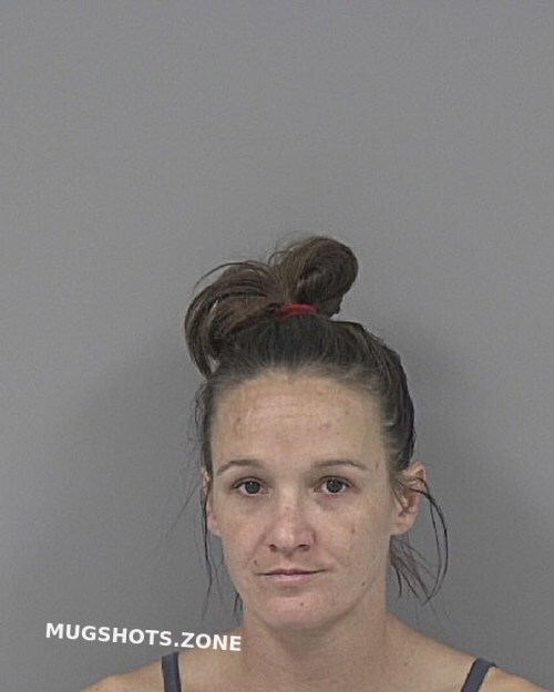 ROOK AMY 04/11/2025 - Johnston County Mugshots Zone