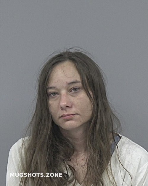 RAINS MICHAELA 04/17/2025 - Johnston County Mugshots Zone