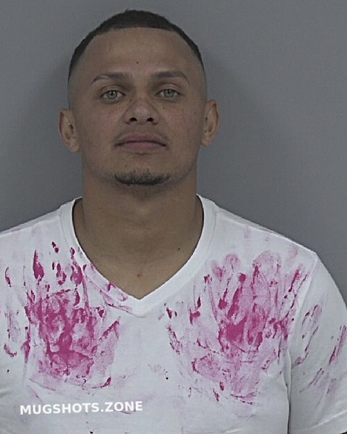 ARGUETA ALEXIS 05/04/2025 - Johnston County Mugshots Zone