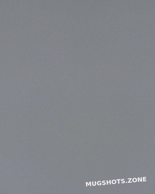 CHAVIS UNIQUE 06/22/2025 - Johnston County Mugshots Zone