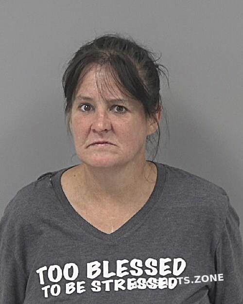 PERRELL TASHA 07/05/2025 - Johnston County Mugshots Zone