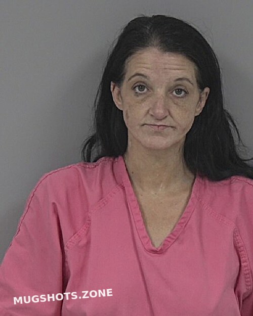 CREECH LINDA 08/04/2025 - Johnston County Mugshots Zone