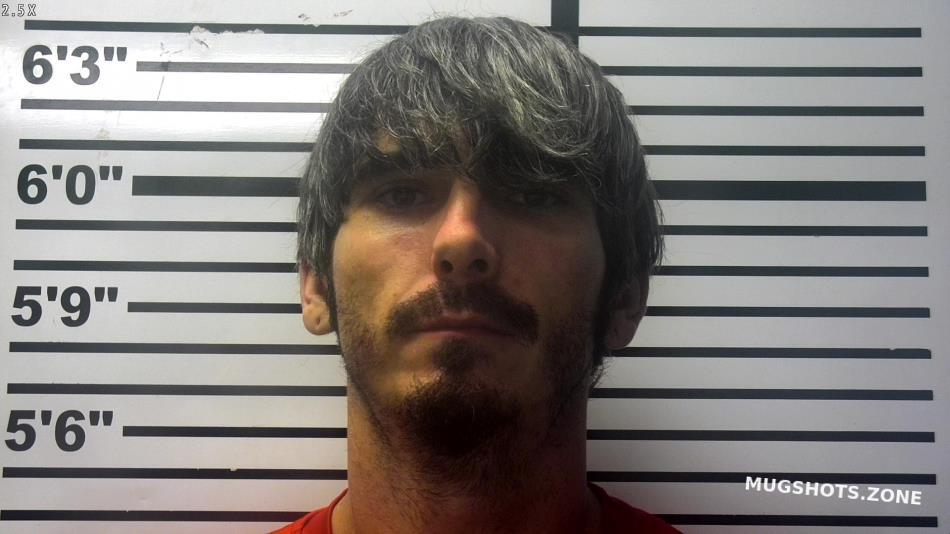 BOLIN JENISE RAY 11/17/2022 - Jones County Mugshots Zone