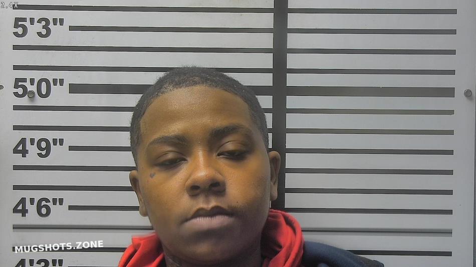 MOORE DANNA NICOLE 03/13/2024 - Jones County Mugshots Zone
