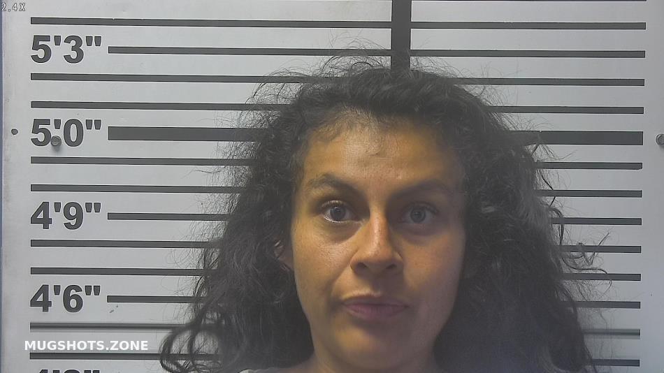 STANDING-ELK SHONESTY . 12/22/2025 - Jones County Mugshots Zone