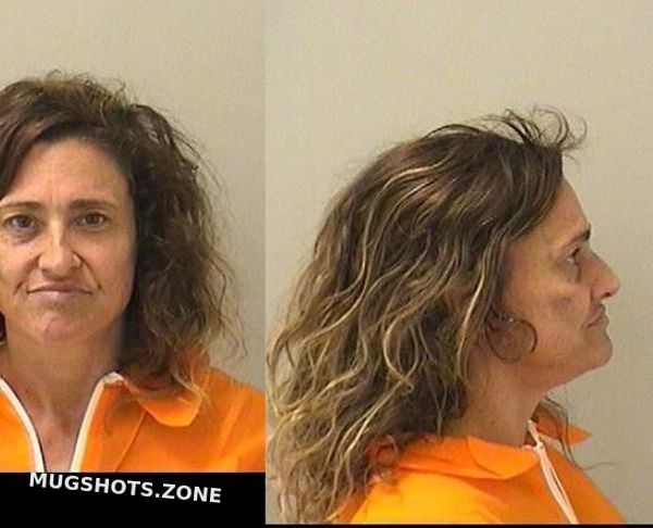 DOLAN-LAUDI KARA J 11/22/2023 - Kane County Mugshots Zone
