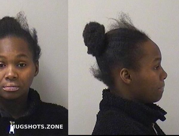 JAMES BRENELLE S 12/20/2023 - Kane County Mugshots Zone