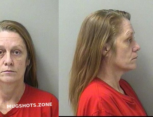 JOHNSON DENISE C 12/25/2023 - Kane County Mugshots Zone