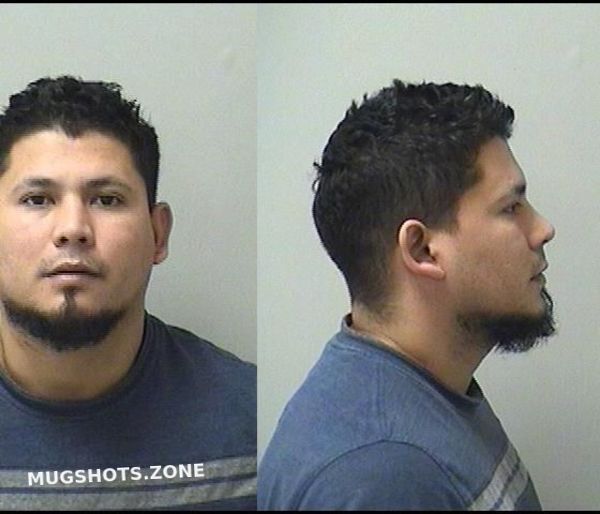 PALMA DANIZ 02/02/2024 - Kane County Mugshots Zone