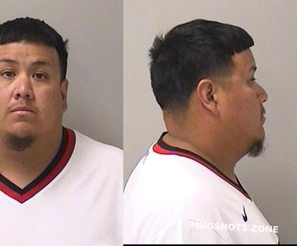 FERRER LUIS ENRIQUE 03/14/2024 - Kane County Mugshots Zone