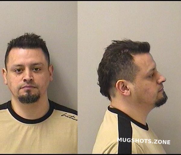 GUADALAJARA EDGAR 03/23/2024 - Kane County Mugshots Zone