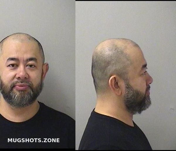 OHPRECIO NINO C 04/21/2024 - Kane County Mugshots Zone