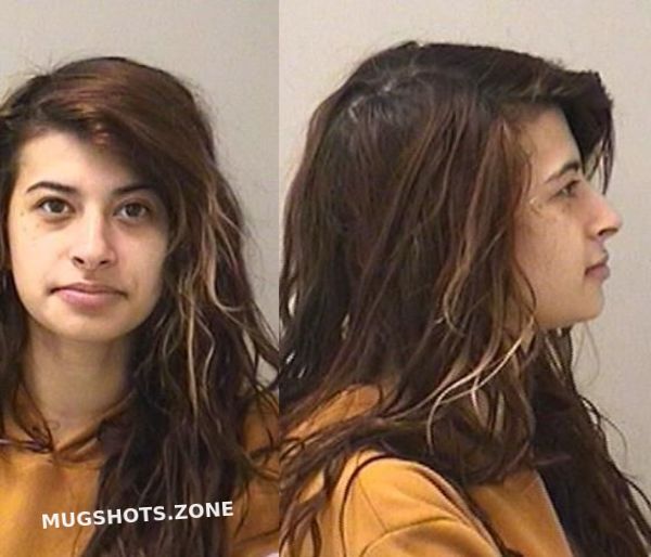 TODD-VILLARREAL HAILEY N 06/17/2024 - Kane County Mugshots Zone