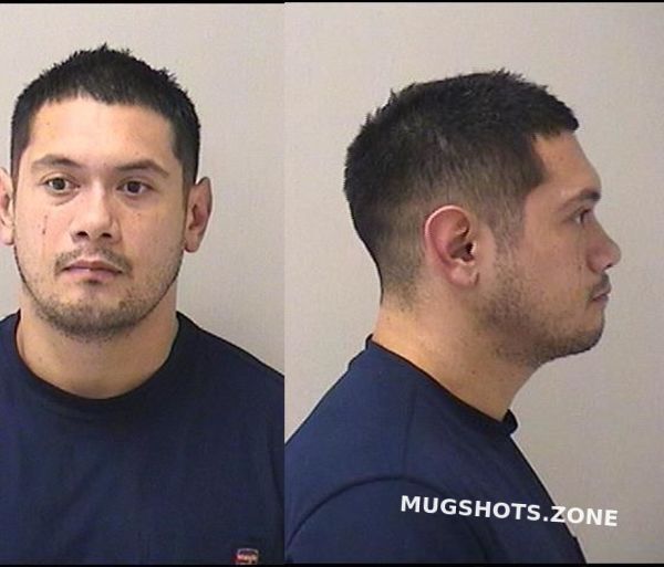 RICO MICHAEL 06/18/2024 - Kane County Mugshots Zone