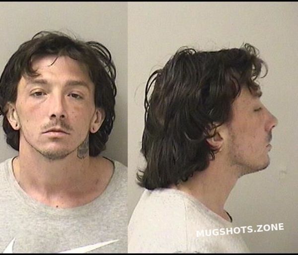 GREEN NATHAN LEE 07/22/2024 - Kane County Mugshots Zone