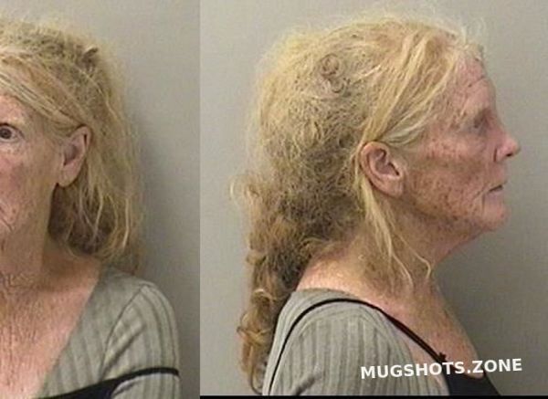 MCCALEB CAROL A 08/08/2024 - Kane County Mugshots Zone
