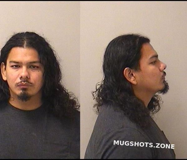 ROBLEDO ANTHONY REYES 08/19/2024 - Kane County Mugshots Zone