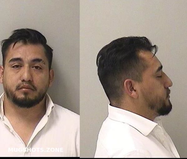 AVILA-OLVERA CHRISTIAN G 09/13/2024 - Kane County Mugshots Zone