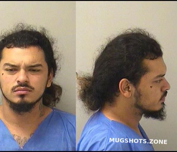 MONTANEZ ALEXANDER JULIAN 10/25/2024 - Kane County Mugshots Zone