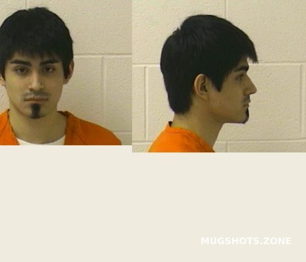 DELATORRE DAVID 10/27/2024 - Kane County Mugshots Zone
