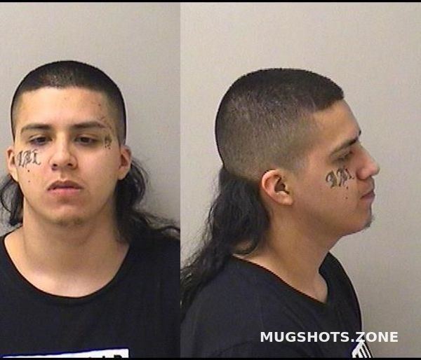 MONDRAGON IVAN 10/31/2024 - Kane County Mugshots Zone