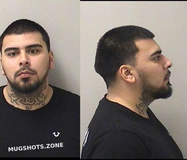 FAVELA ALEJANDRO RUBEN 01/12/2025 - Kane County Mugshots Zone