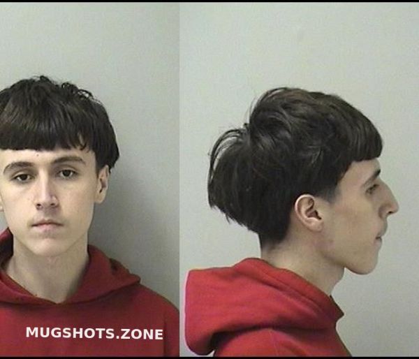 DIOSDADO AYDEN M 01/25/2025 - Kane County Mugshots Zone