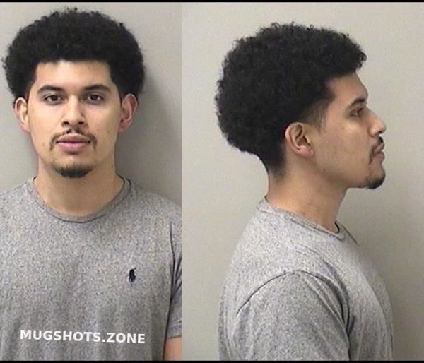 GOMEZ JOEL MATEO 01/31/2025 - Kane County Mugshots Zone