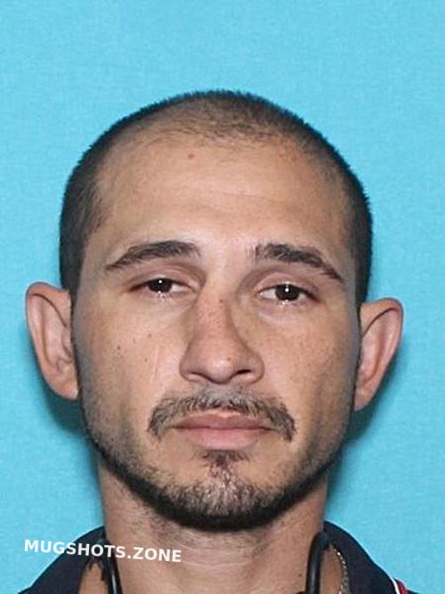 TORRES JOEL S 02/13/2025 - Kane County Mugshots Zone