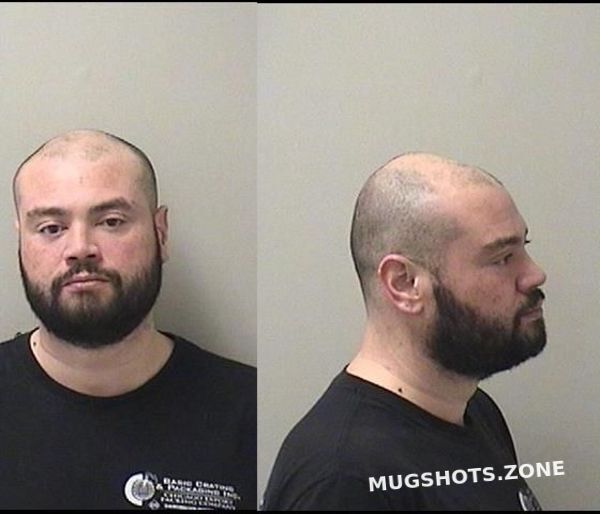 VILLAFANE RAMON A 02/15/2025 - Kane County Mugshots Zone