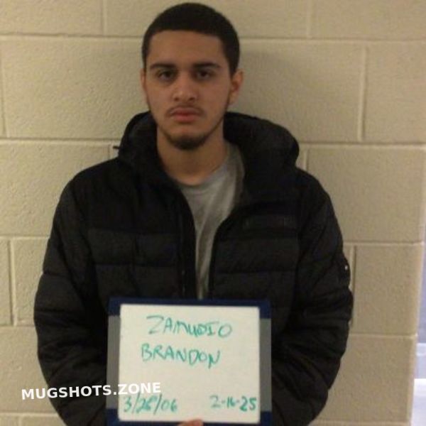ZAMUDIO BRANDON L 02/16/2025 - Kane County Mugshots Zone