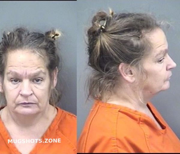 SVEC DENISE 01/15/2025 - Kankakee County Mugshots Zone