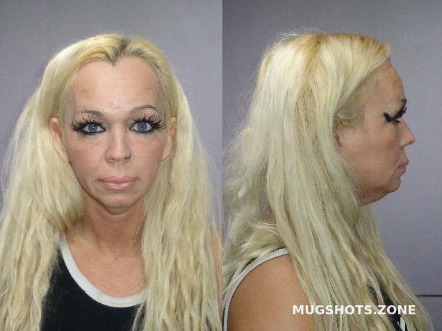 SHRIBER JENNIFER LEE 11/23/2021 - Kendall County Mugshots Zone