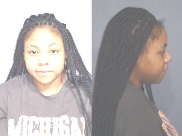 Martin Nailah Marlene 03 31 2022 Kendall County Mugshots Zone
