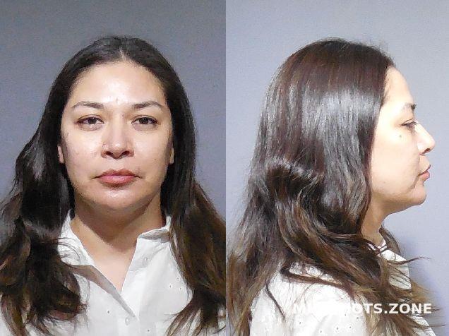 RANGEL BRENDA LEE 06/27/2023 - Kendall County Mugshots Zone