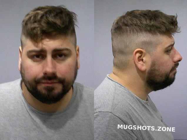 GOLDMAN NICHOLAS AMBROSE 05/01/2024 - Kendall County Mugshots Zone