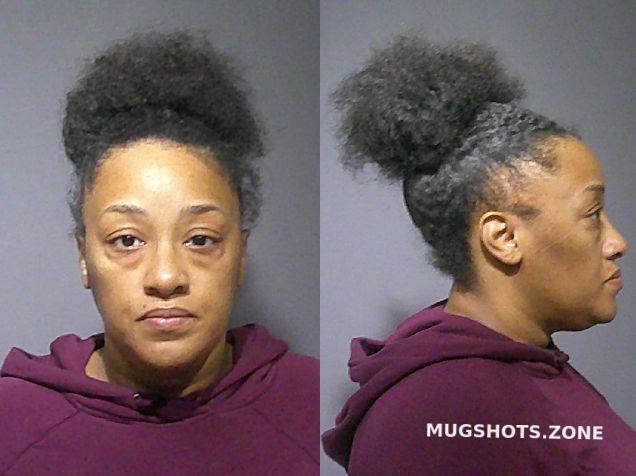 HIGGINS ERICA MARIE 05/02/2024 - Kendall County Mugshots Zone