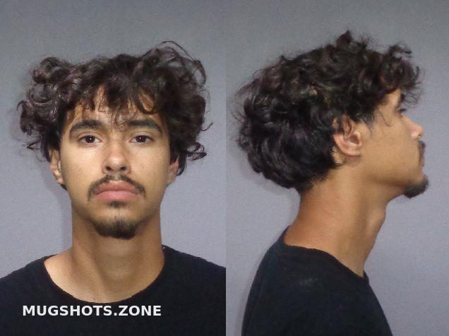 REYNOSO ANDREW 08/04/2024 - Kendall County Mugshots Zone