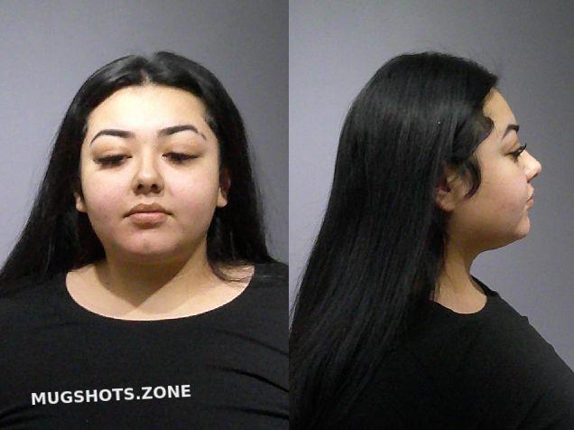 SERRANO AMERICA LIZETTE 01/03/2025 - Kendall County Mugshots Zone